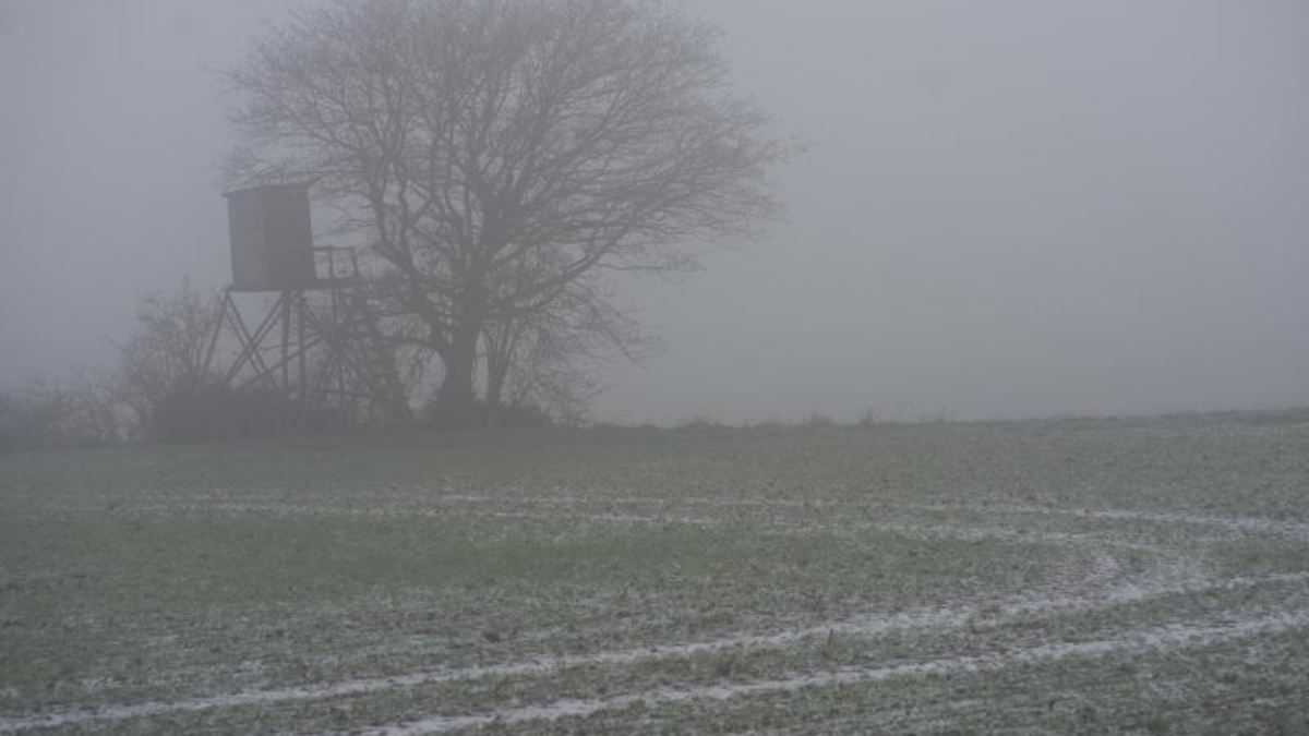 Bayern: Mieses Weihnachtswetter mit viel Regen: Schnee im Nordosten - n-tv.de