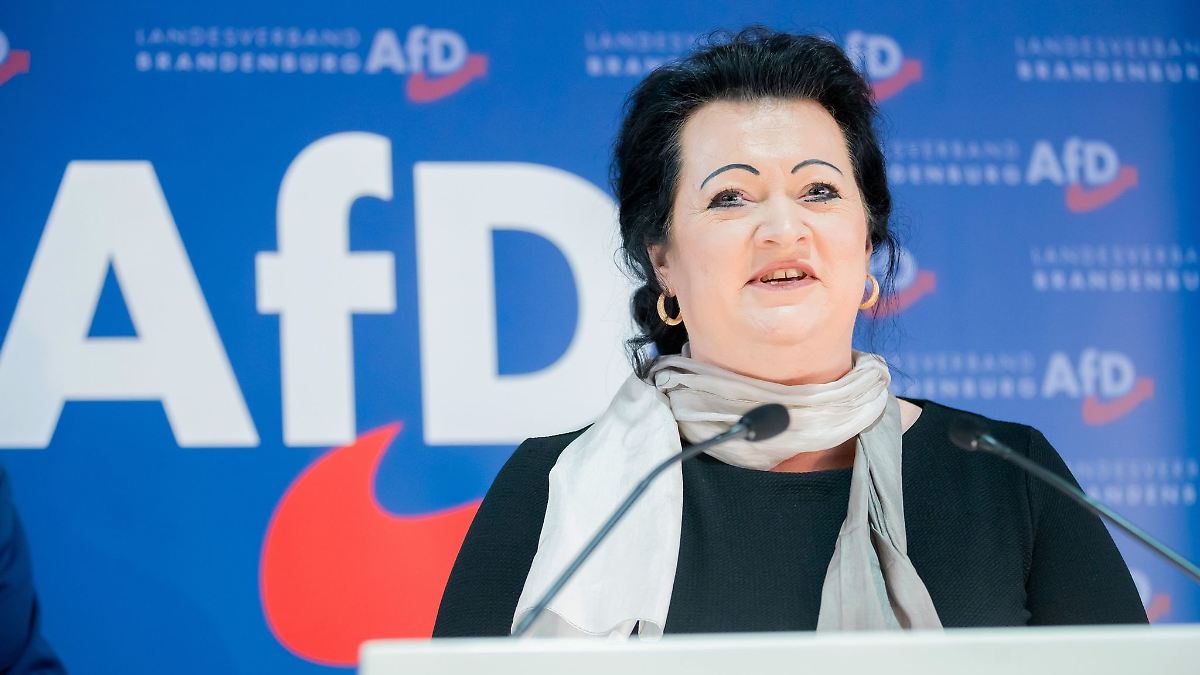 Berlin & Brandenburg: Bessin als neue AfD-Vorsitzende in Brandenburg ...