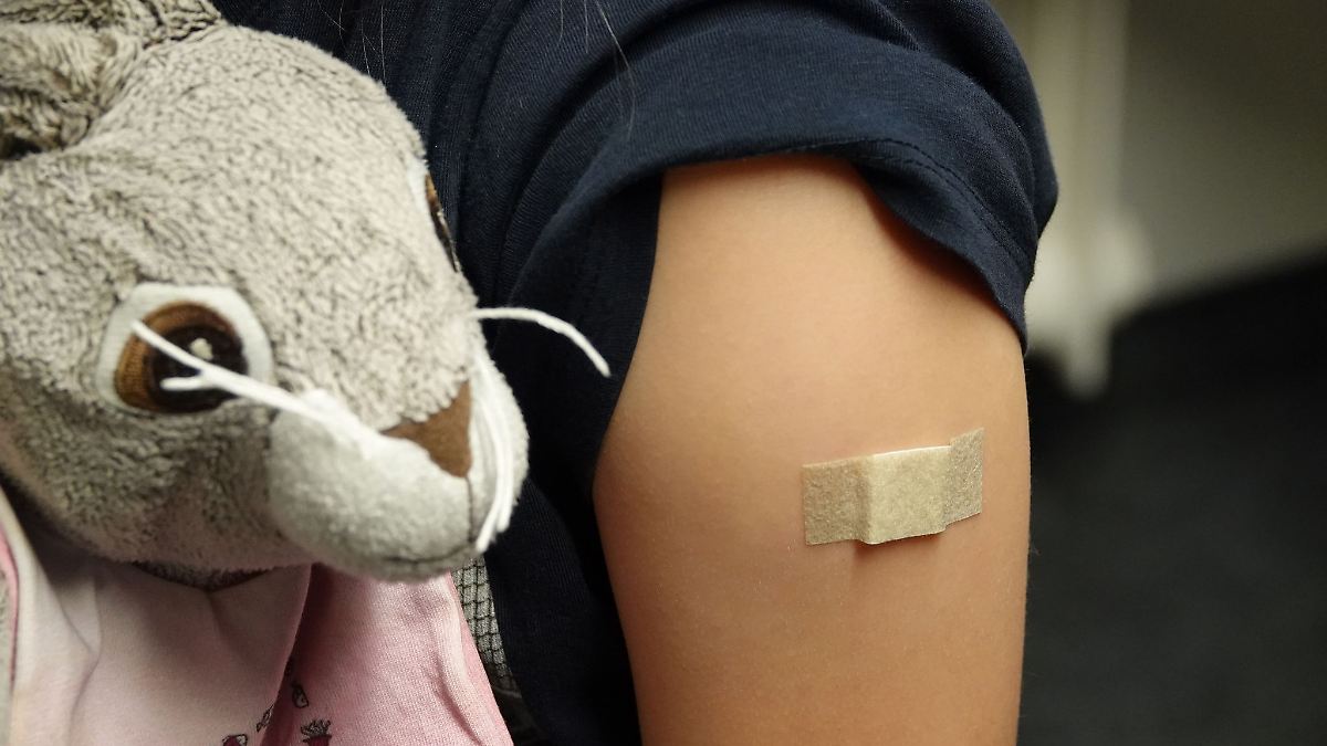 Sachsen-Anhalt: Sachsen-Anhalts Kinder und Jugendliche gut geimpft - n-tv.de