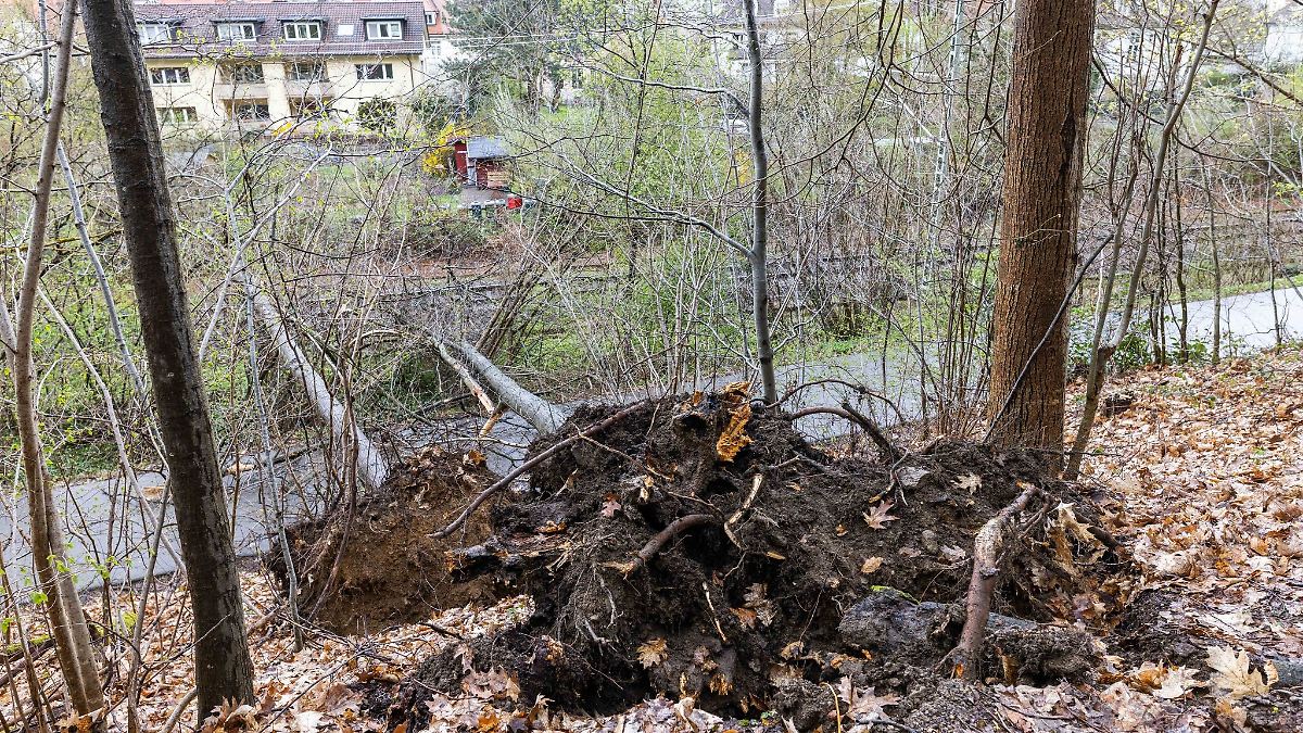 Baden-Württemberg: Verletzte bei Sturm: Zug fährt gegen brennenden Baum - n-tv.de