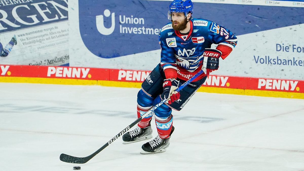Baden-Württemberg: Wild Wings holen Eishockey-Profi Larkin aus Mannheim ...