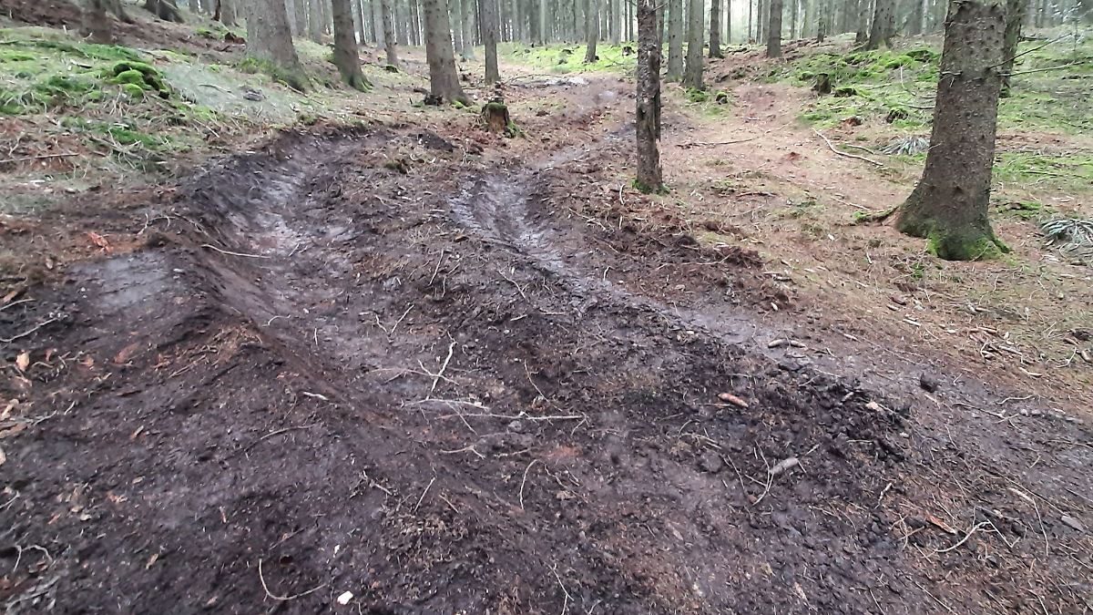 Niedersachsen & Bremen: Illegale Mountainbike-Strecken noch Problem für Waldbesitzer - n-tv.de