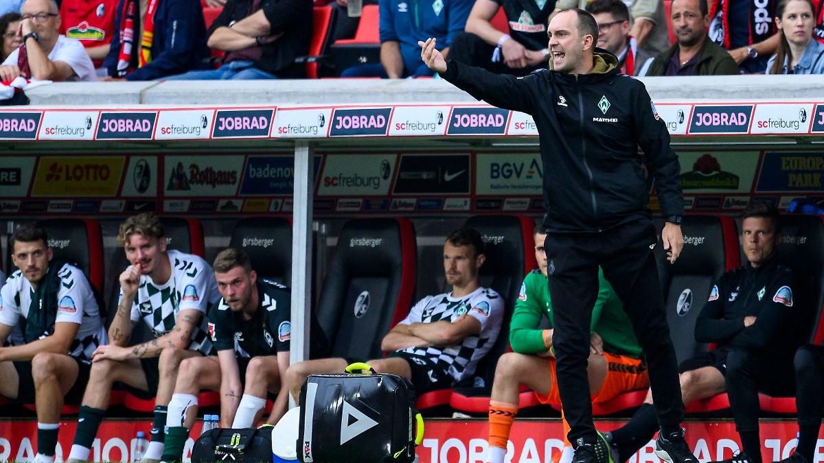 Niedersachsen & Bremen: Wundertüte Werder: Werner hat "Bock" auf Borré ...