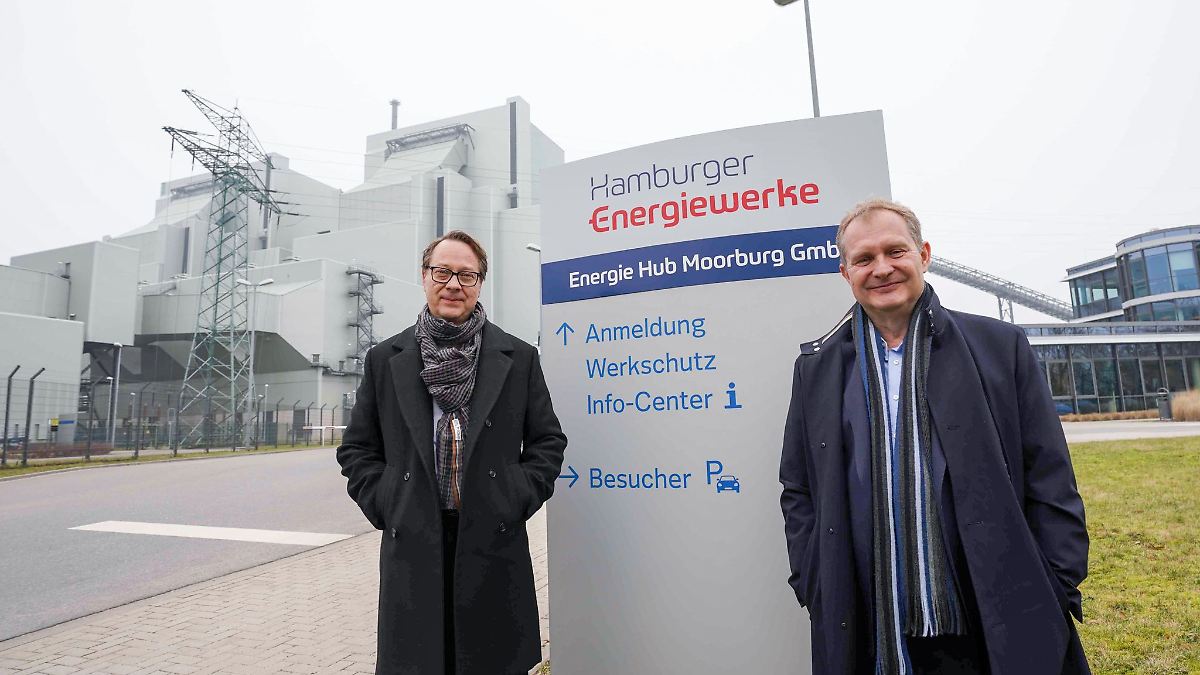 Hamburg & Schleswig-Holstein: Luxcara wird neuer Partner bei Hamburger ...