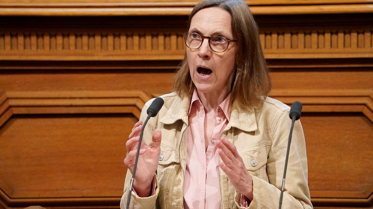 Hamburg & Schleswig-Holstein: Mehr Abschiebungen: Linke fordert ...