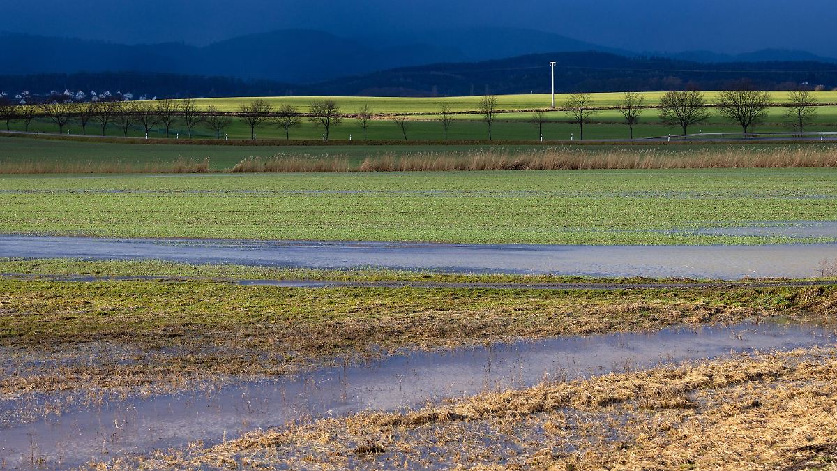 Thüringen: BUND: Staat soll Auenflächen zum Hochwasserschutz erwerben ...