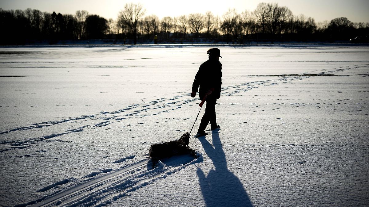 Niedersachsen & Bremen: Nach dem Hochwasser: Jäger finden zahlreiche verendete Rehe - n-tv.de