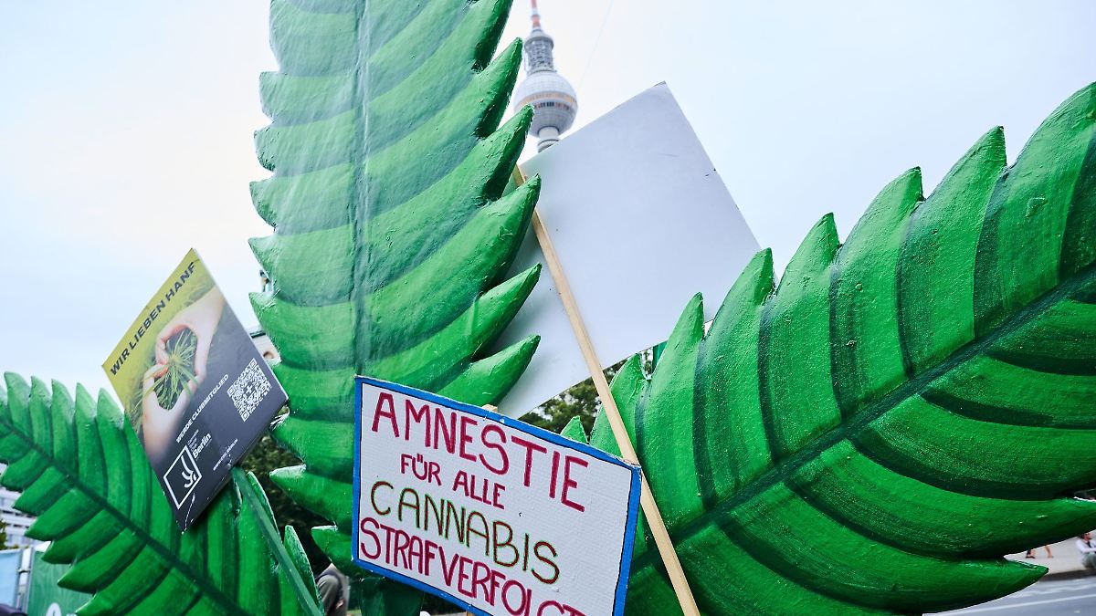 Berlin & Brandenburg: Häftling in Berlin nach Cannabis-Legalisierung ...