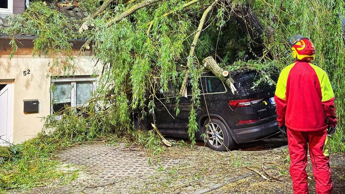 Thüringen: Sturm über Thüringen: Baum kracht in Kinderbett - n-tv.de