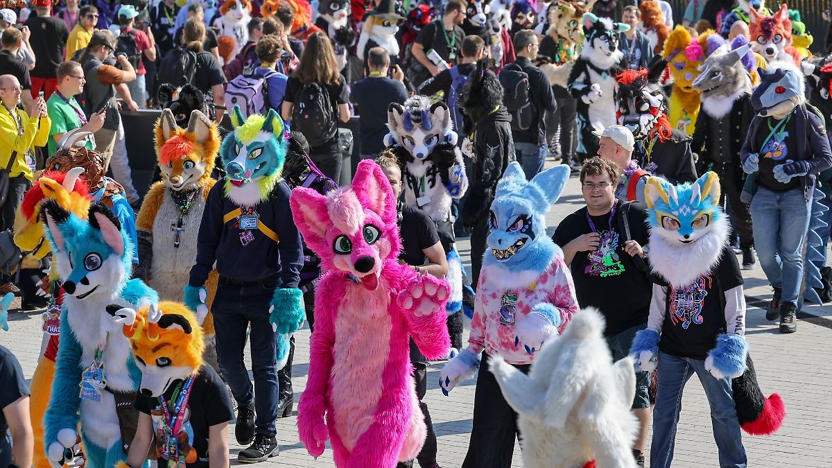 Hamburg & Schleswig-Holstein: Bunt und plüschig - Furry-Festival in ...