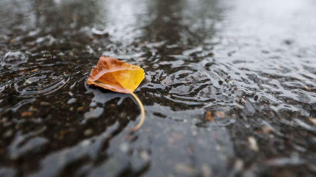 Hessen: Auf Schnee und Glätte folgt mildes Wetter in Hessen - n-tv.de