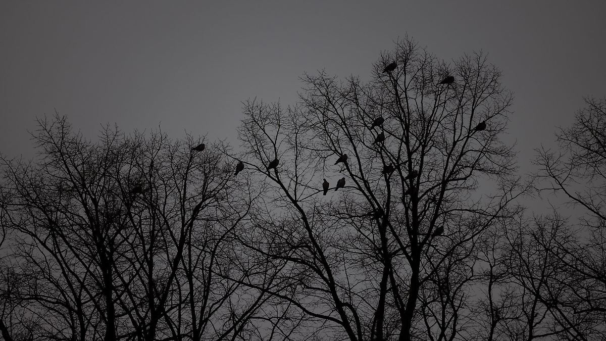 Nordrhein-Westfalen: Milde Temperaturen in NRW – aber immer wieder ...