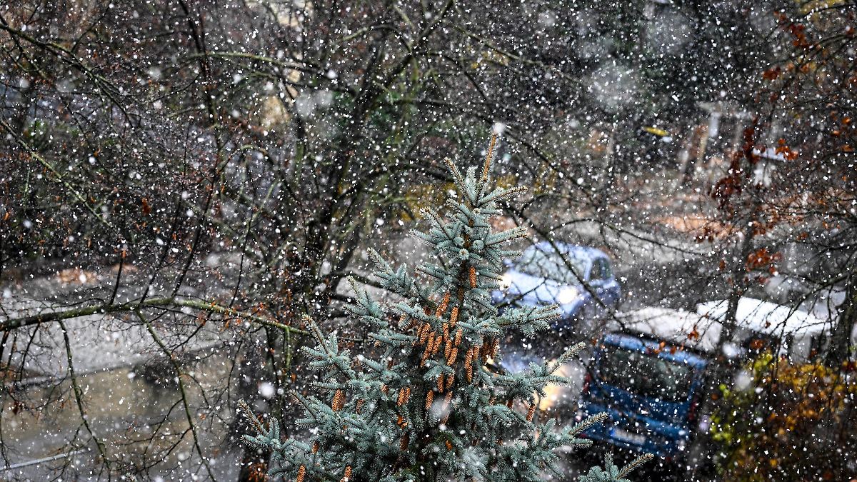 Berlin & Brandenburg: Schneeschauer in Berlin und Brandenburg - n-tv.de