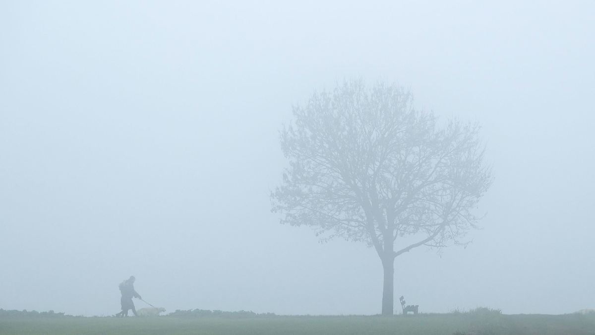 Rheinland-Pfalz & Saarland: Neblig-trübes Wetter in Rheinland-Pfalz und ...
