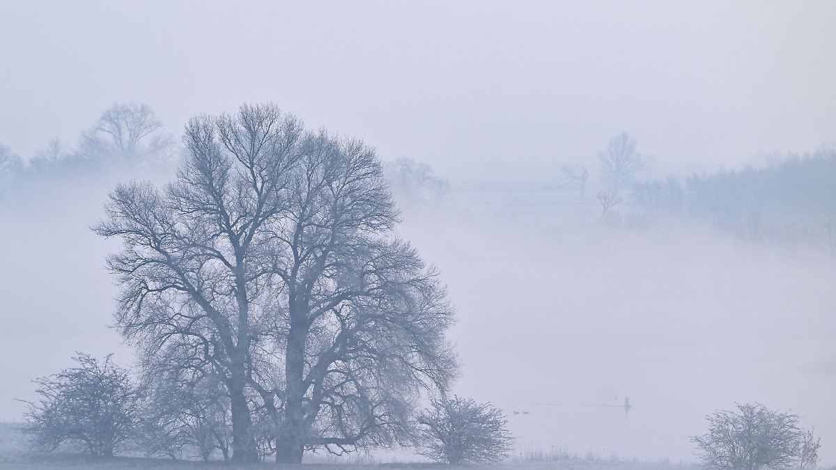 Rheinland-Pfalz & Saarland: Hier heiter, dort trüb - trocken an Rhein ...
