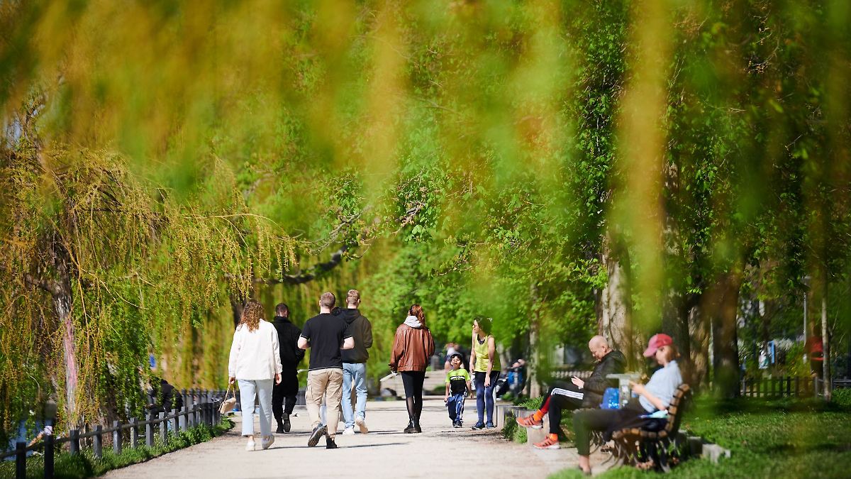 Berlin & Brandenburg: Sonnenschein und Pollenflug: Frühlingshafte Tage ...