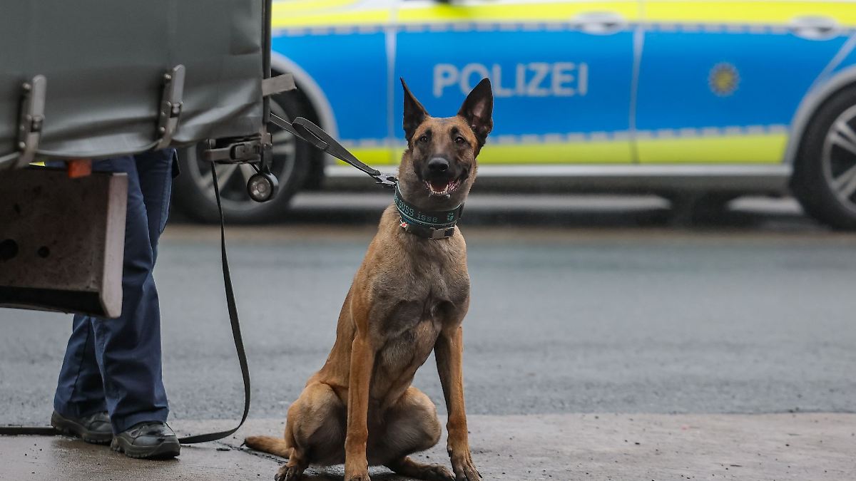 Sachsen-Anhalt: Mehr als 2.000 Einsätze für Polizeihunde - n-tv.de