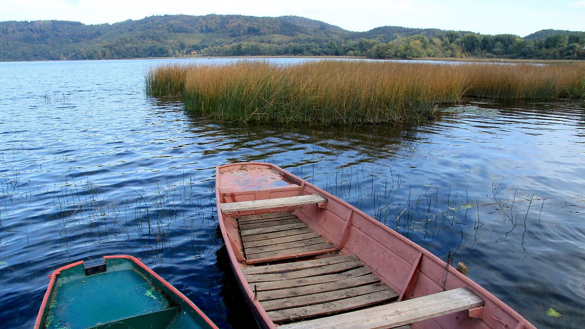 Rakhi gill new pirn when I arrived, I inquired to see what