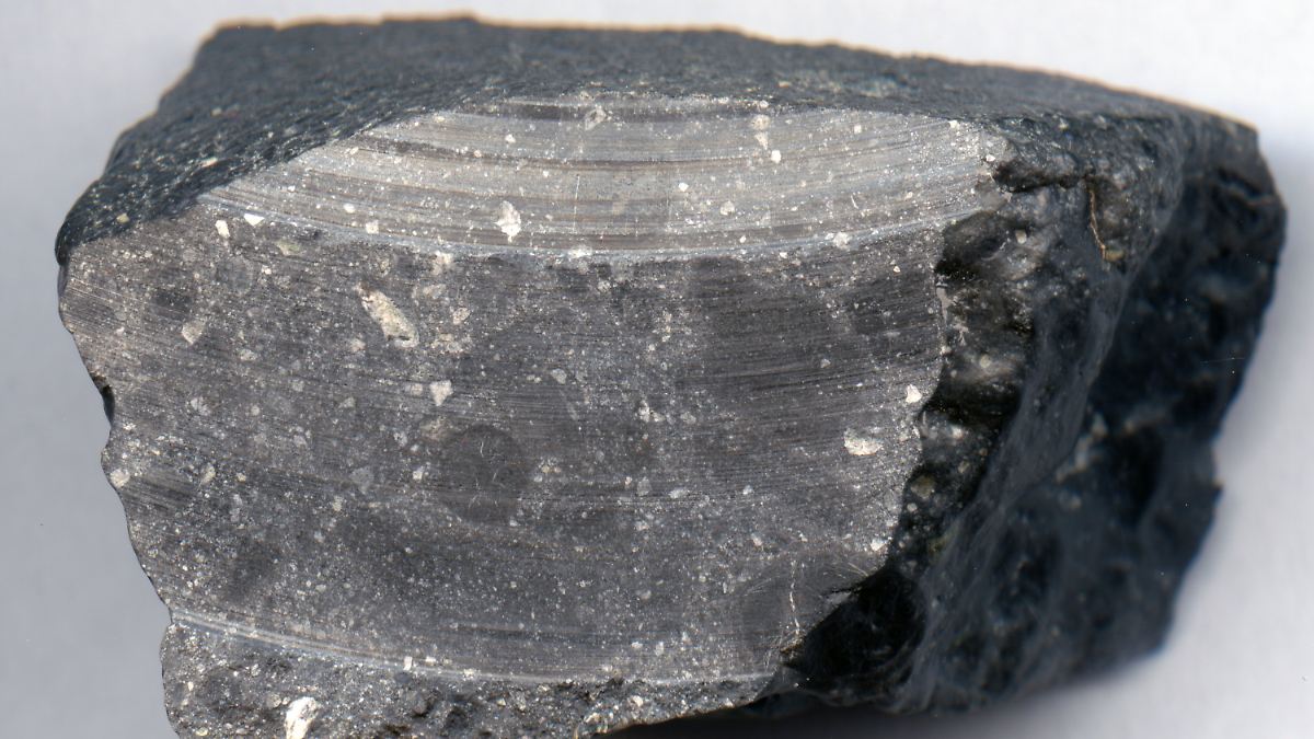 Stein aus der Frühzeit des Sonnensystems: Meteorit gibt Hinweise auf ...