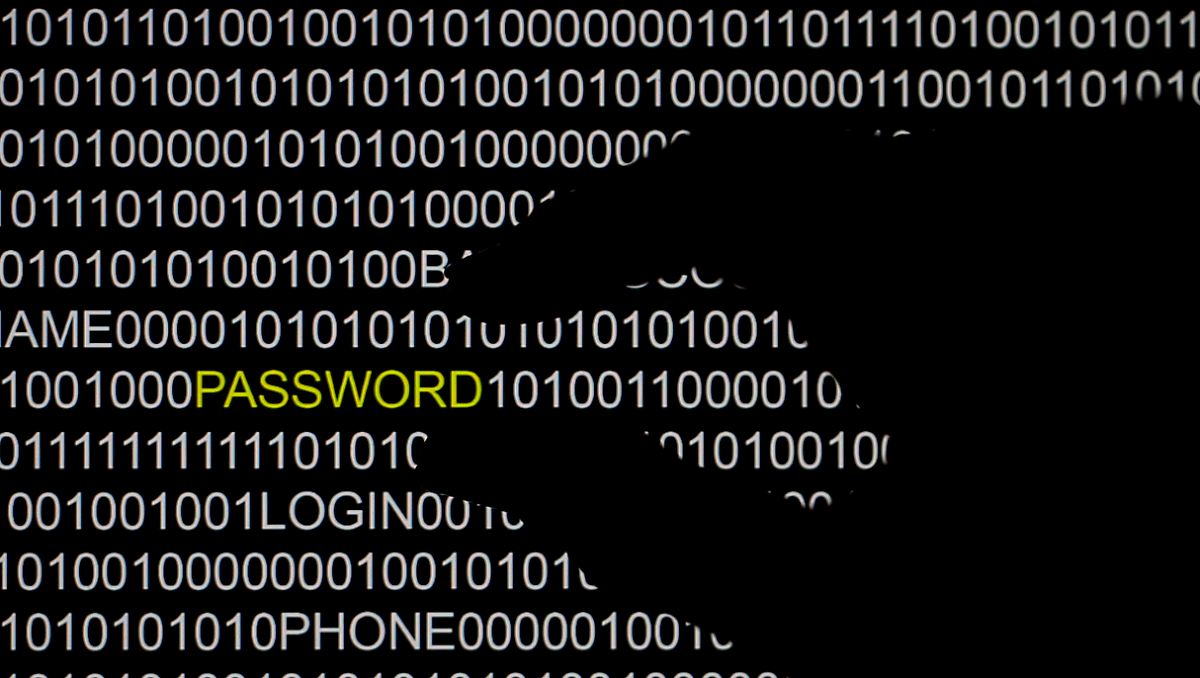 Geheimdienst kauft Sicherheitslücken: Hacker warnen vor ...