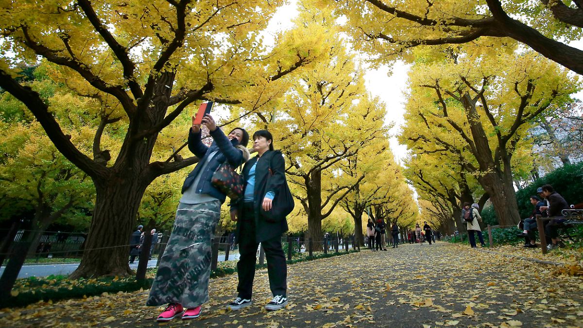 Der Trend zum Killfie: Immer mehr Tote beim Selfie-Knipsen - n-tv.de