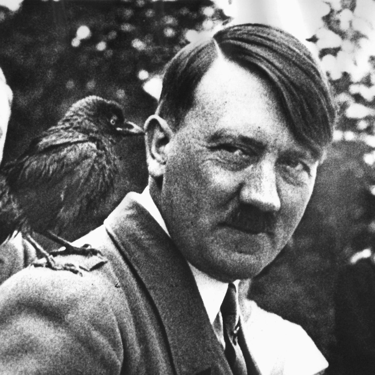 Adolf Hitler Photos The History Place Rise Of Hitler: Hitler Becomes