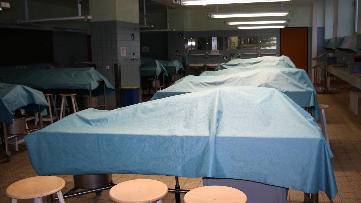 Lernen an Leichen: Medizinstudenten brauchen Körperspenden - n-tv.de