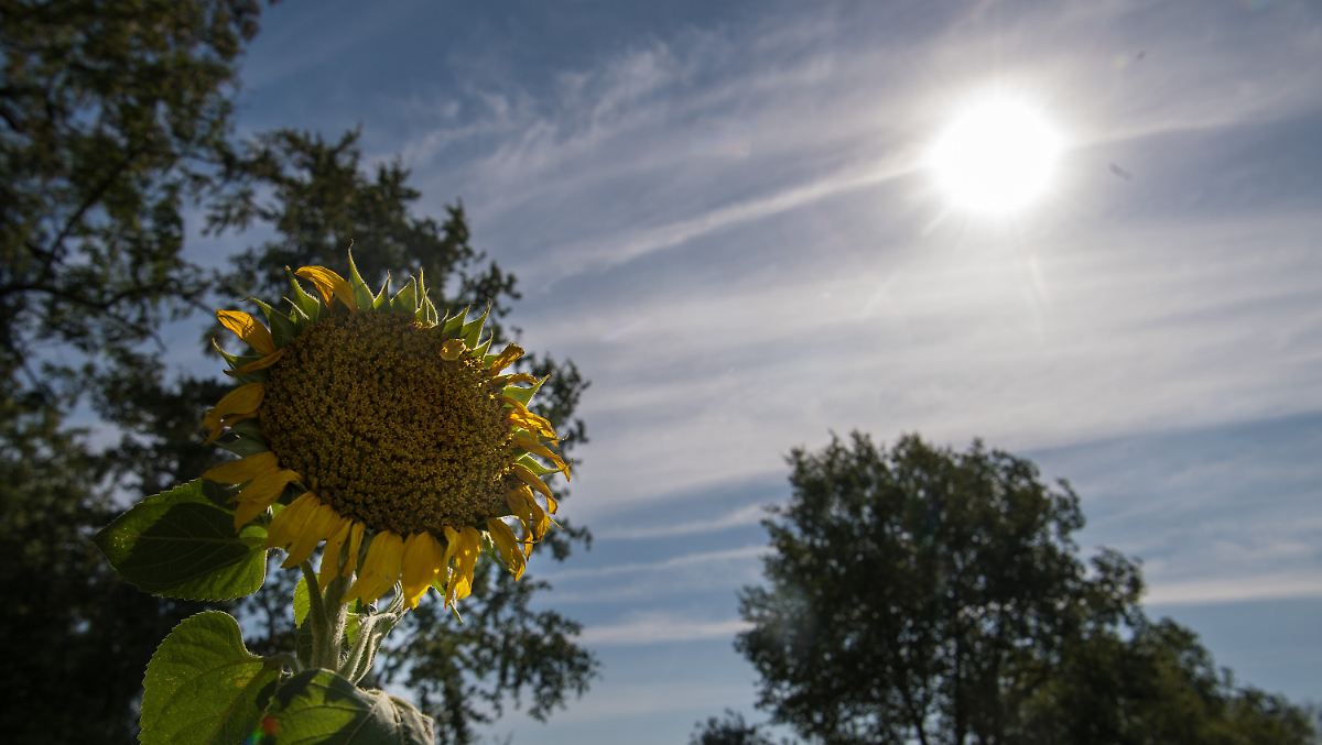 Wetterwoche im Schnellcheck: Erste große Hitzewelle des Jahres kommt - n-tv.de