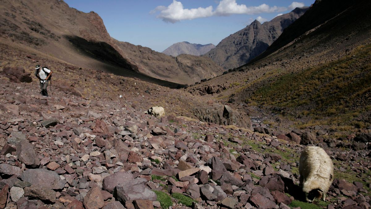 Tatverdächtiger verhaftet: Junge Backpackerinnen in Marokko ermordet ...