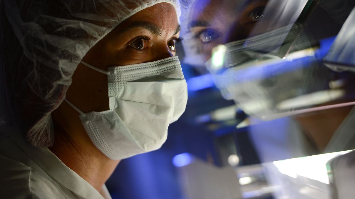 Der Börsen-Tag: Merck erzielt Erfolg in Krebsstudie mit Pimicotinib - n ...