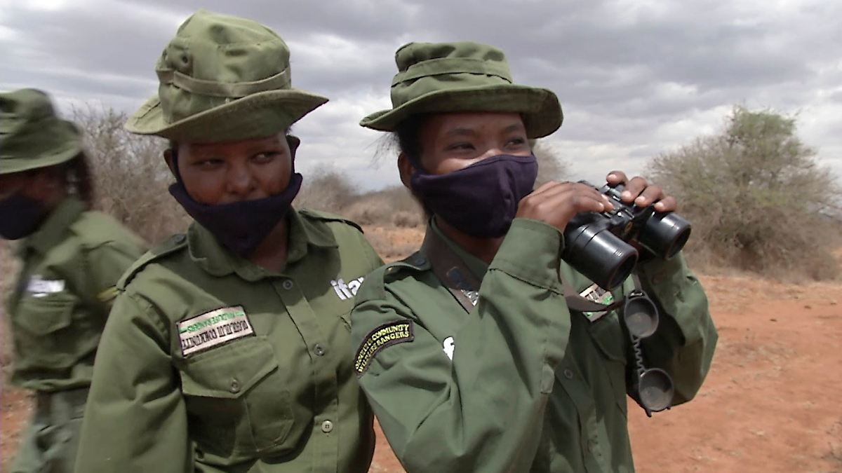 Der Tag: Video: Rangerinnen bekämpfen Wilderer in Kenia - n-tv.de
