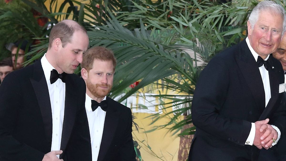 Schluss jetzt mit "royal": William ist sauer wegen Harrys Untätigkeit ...