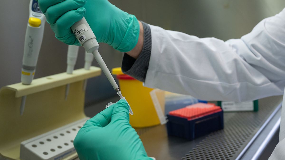 Virologin im Interview: Was wissen wir über Omikron, Frau Protzer? - n ...