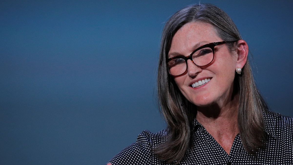 "Kambrische Explosion": Cathi Wood wettet auf KI-Riesen OpenAI - n-tv.de