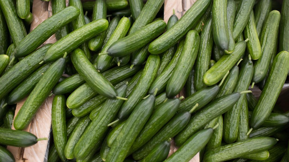 Lebensmittelskandal in Hessen: Schimmel und Rattenkot - Todesfall nach ...