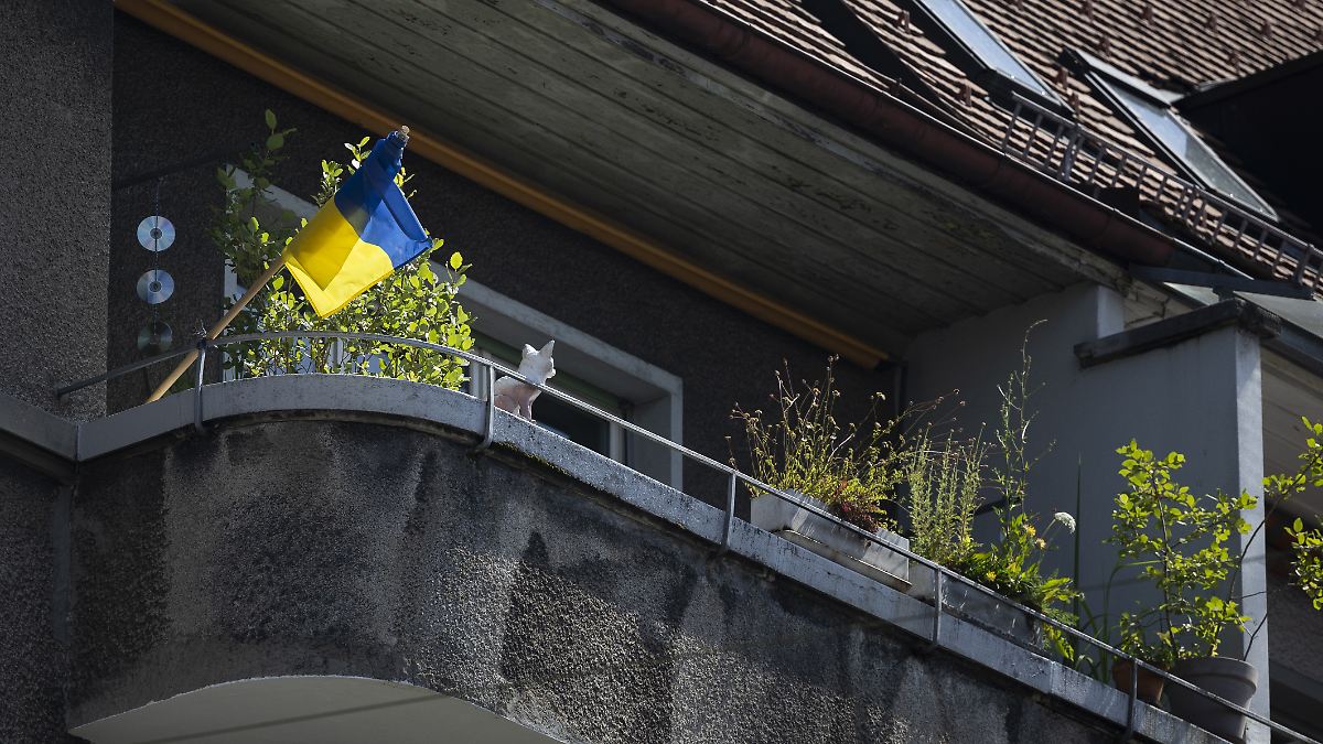 Der Tag am 4. Juni 2022 - n-tv.de