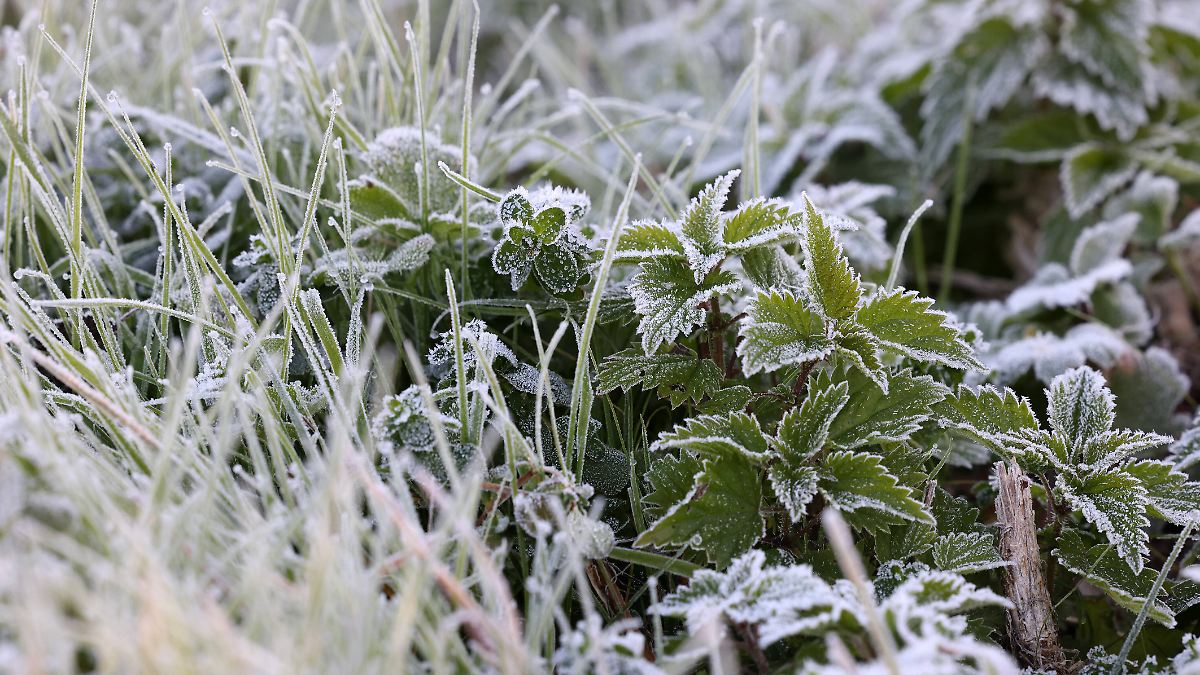 Frost in der Nacht: Sonniger Freitag startet knackig kalt - n-tv.de
