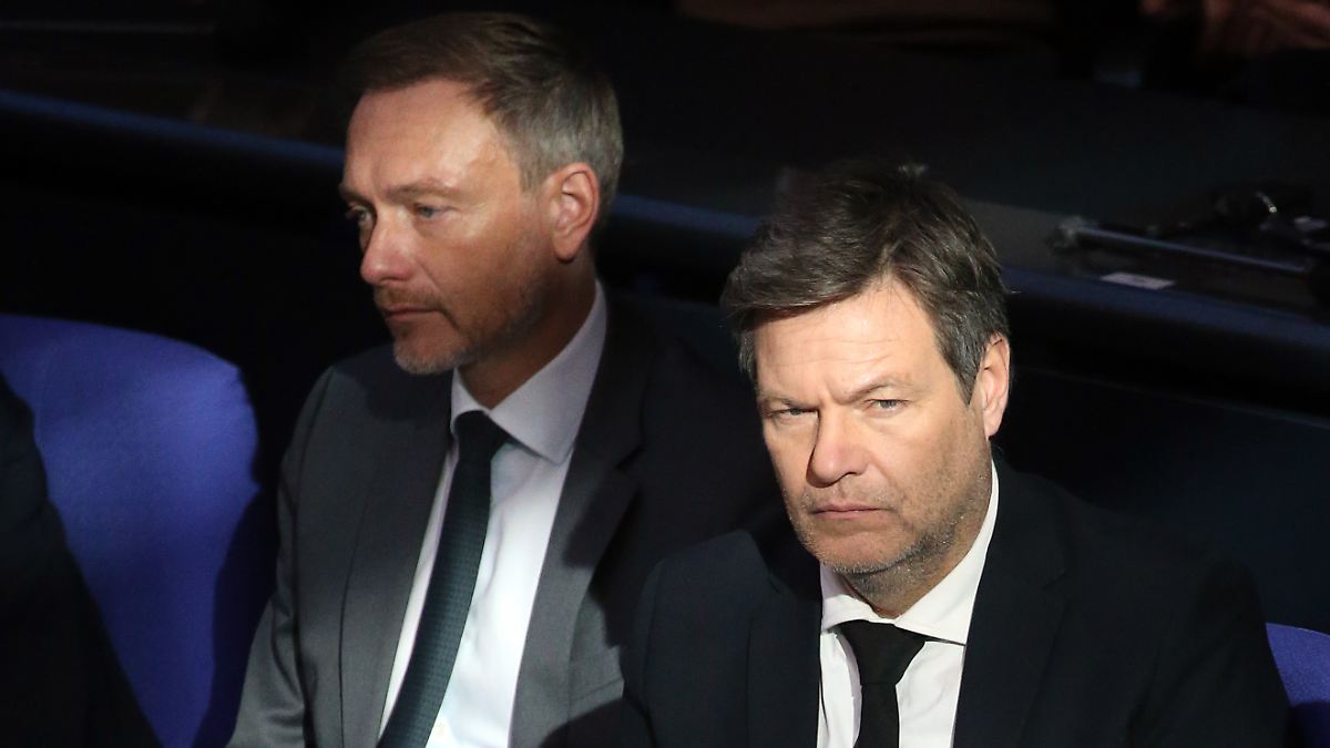 Kein Geld für 6 Cent pro kW/h?: Lindner kanzelt Habecks ...