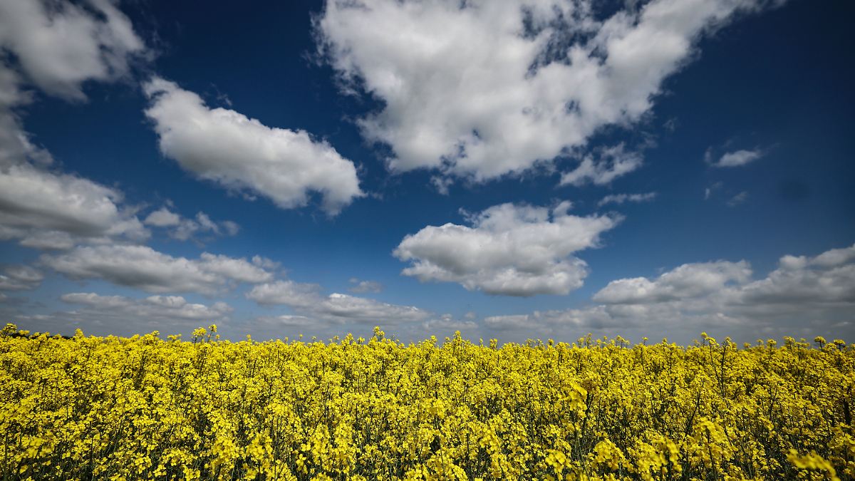 Sommerfeeling bis in den Norden: "Ulla" rüttelt an der 30-Grad-Marke ...