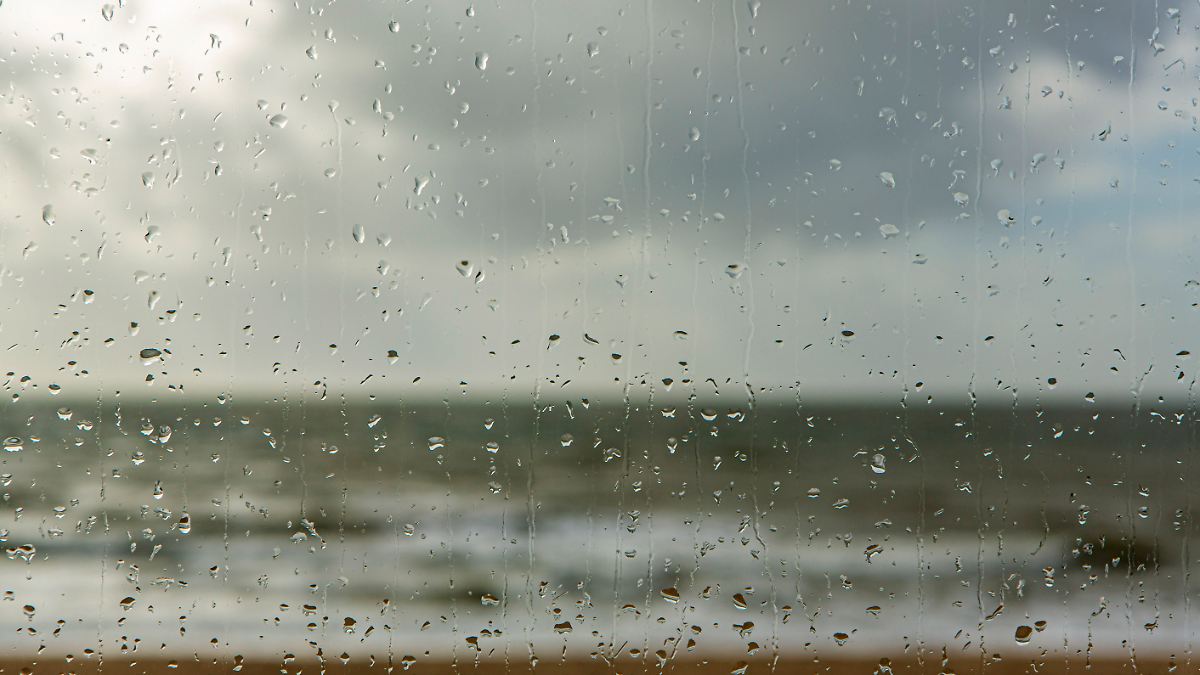 Lässt sich überall umsetzen: Forscher erzeugen Energie mit feuchter ...