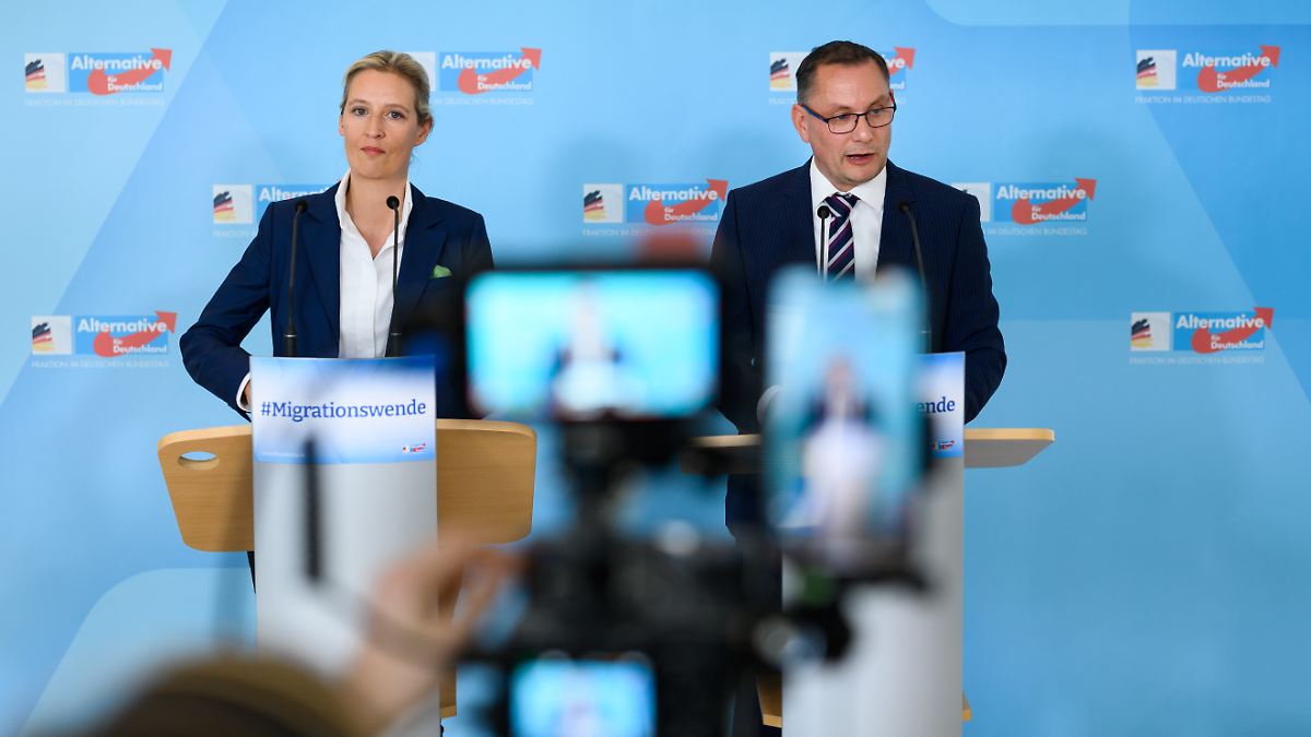 Person der Woche: Fünf Gründe, warum die AfD immer stärker wird - n-tv.de