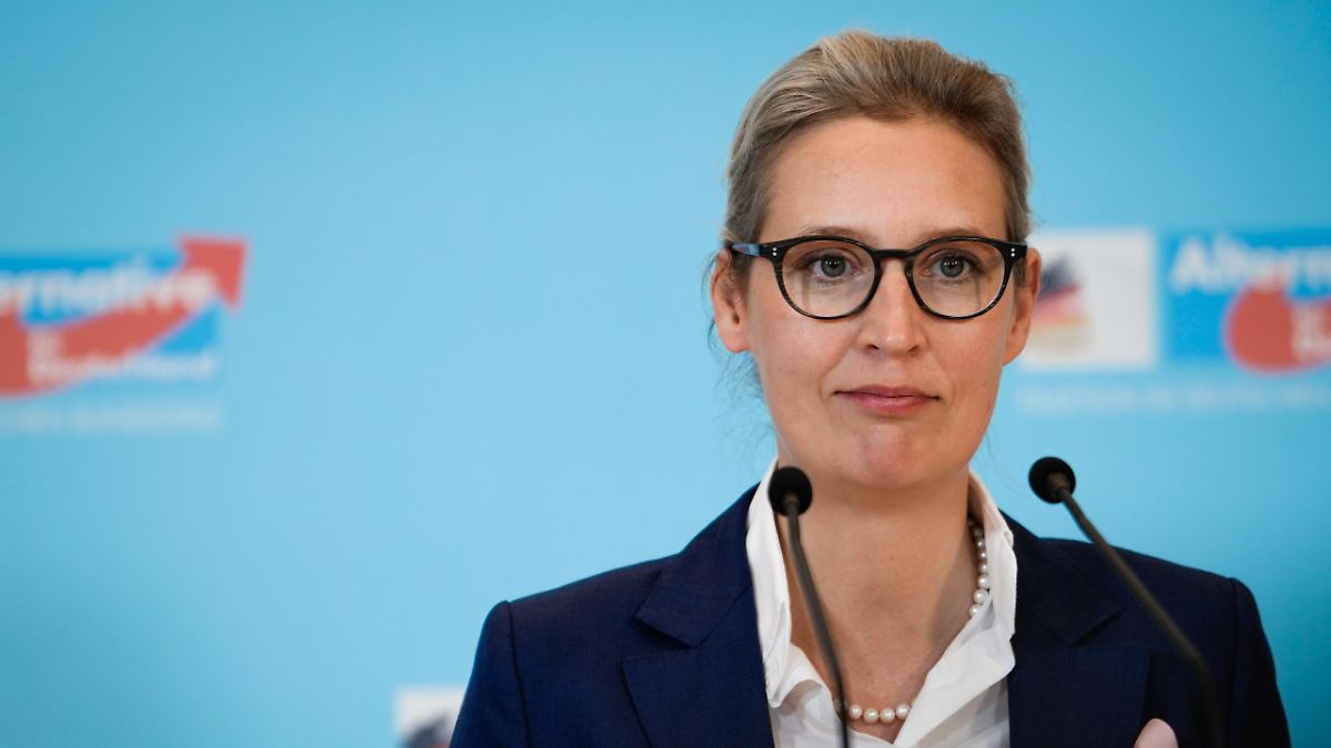 Alice Weidel fühlt sich in Deutschland "politisch verfolgt" - n-tv.de
