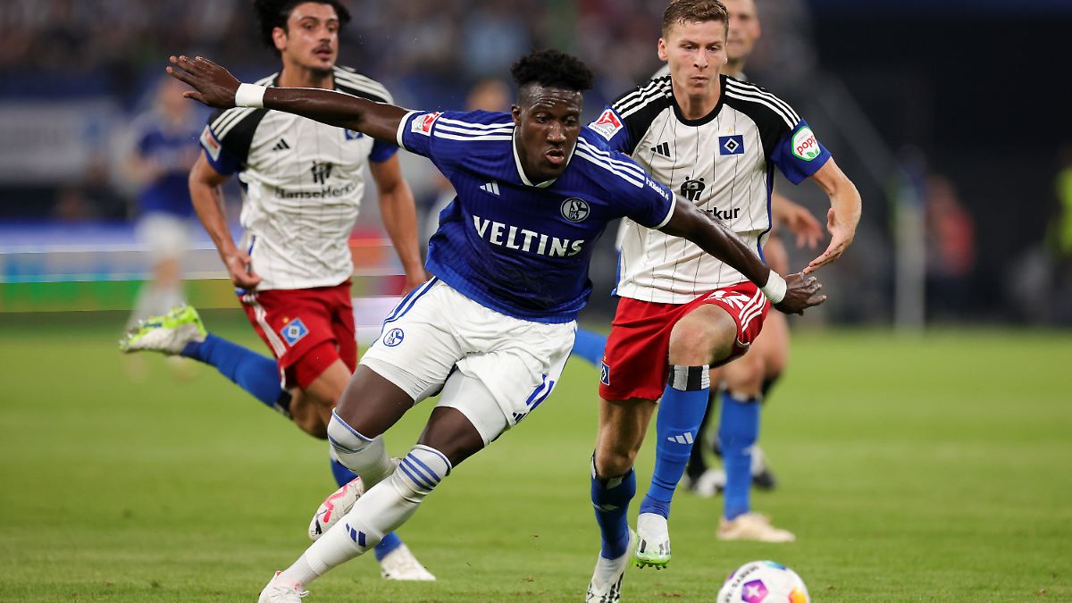 5:3 zum Ligaauftakt: HSV und Schalke liefern atemberaubendes Spektakel ...