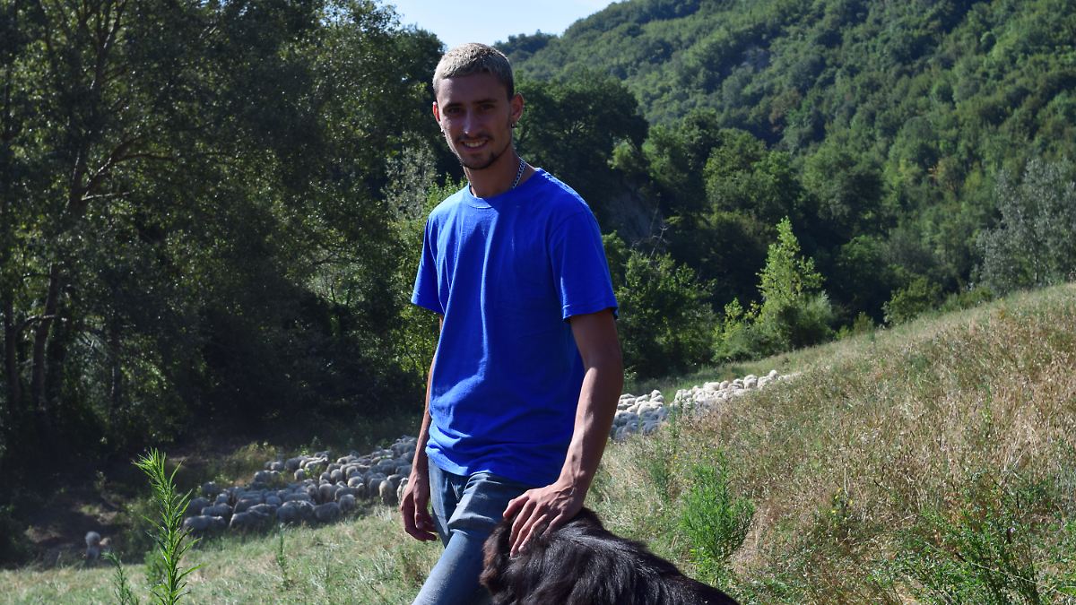 Traum seit Kindheitstagen: Marco Sozzi fühlt sich zum Schäfer berufen - n-tv.de