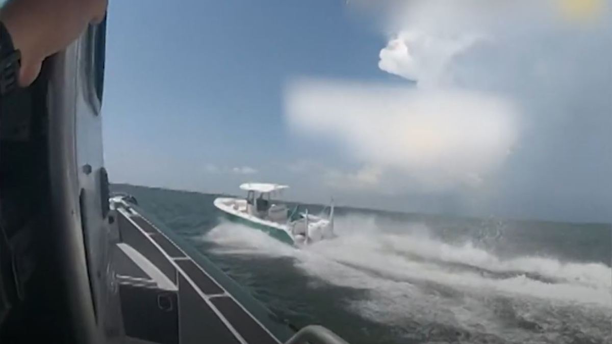 Polizist springt waghalsig: Boot rast ohne Fahrer vor Florida durchs ...