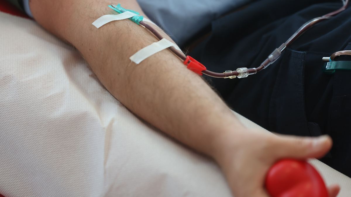 Individuelles Risiko zählt: Neue Regelung erleichtert Blutspenden für Homosexuelle - n-tv.de