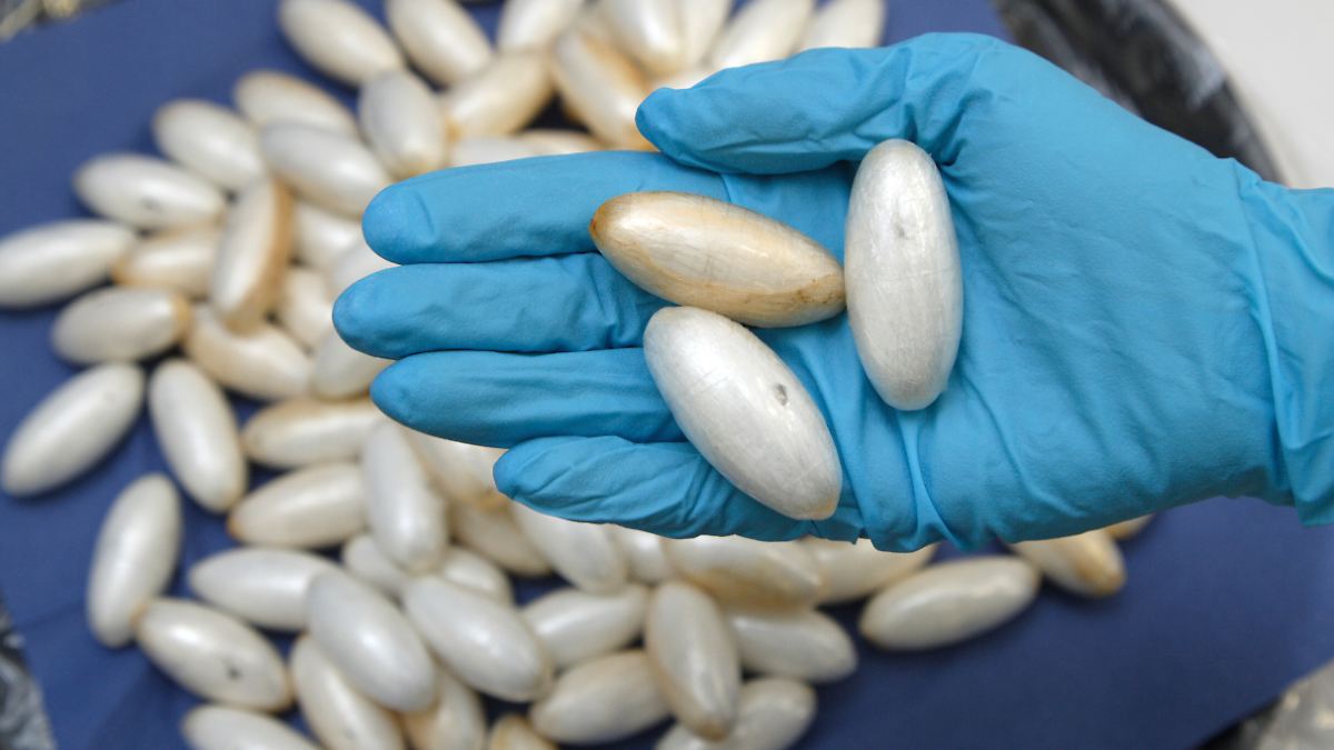 Der Tag: Frauen auf Phuket verstecken Kokain in Vagina und werden ...