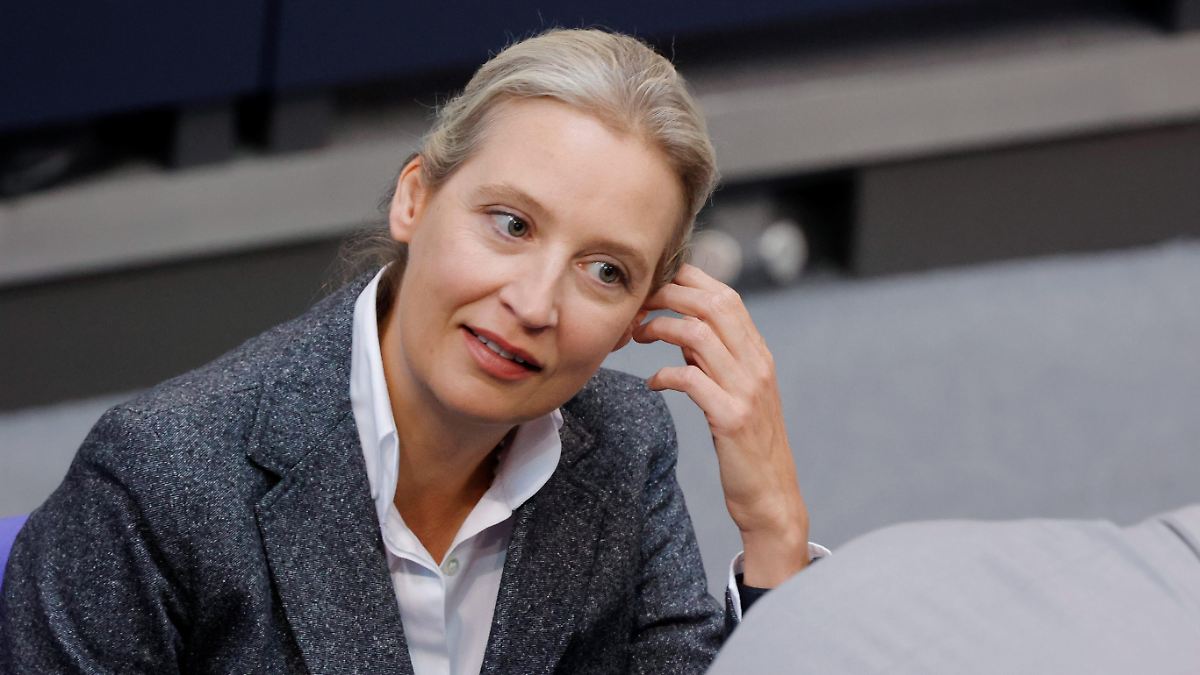 Statt Wahlkampfauftritt: Bedrohte AfD-Chefin Weidel urlaubt auf Mallorca - n-tv.de