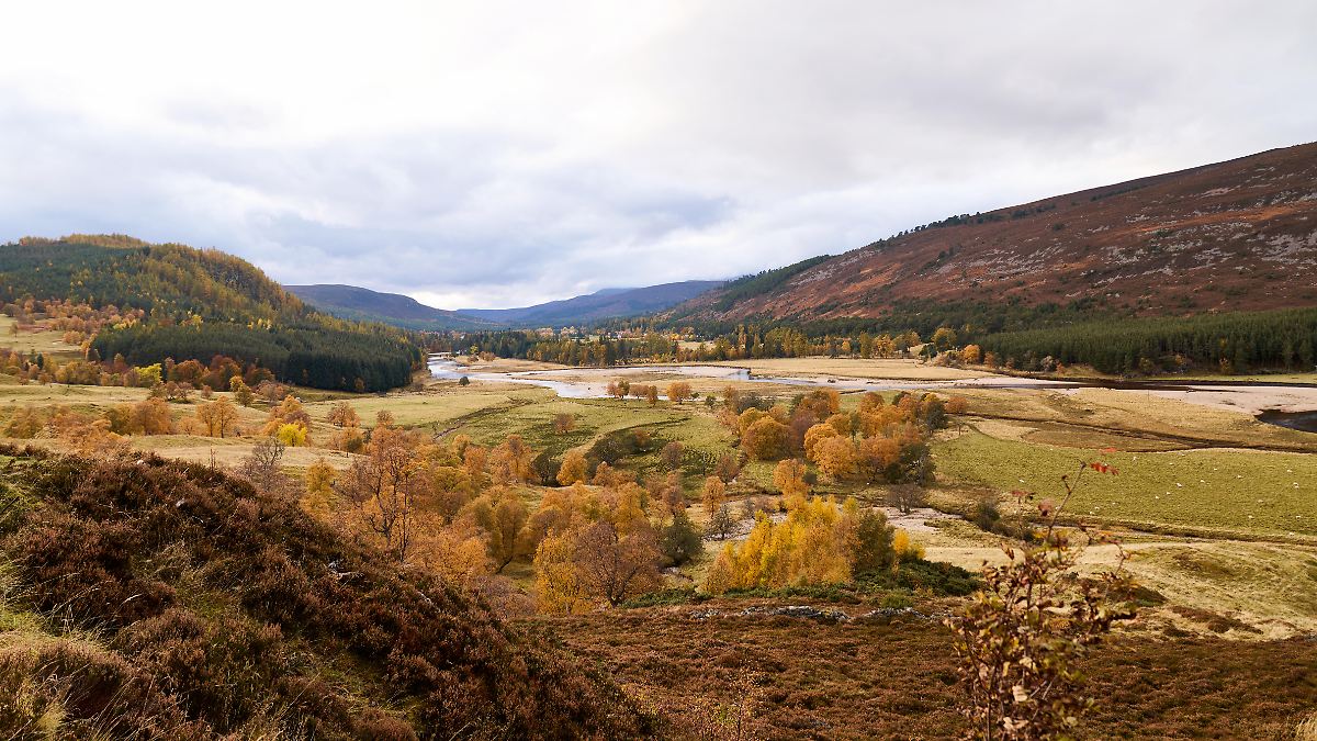Theresas Liebeserklärung: Herbst liegt in der Luft - n-tv.de