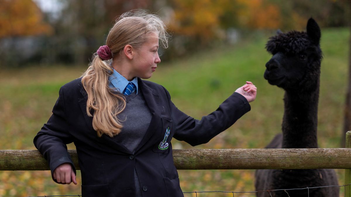 Unterricht auf der Farm: Britische Teenager lernen das Landleben lieben ...